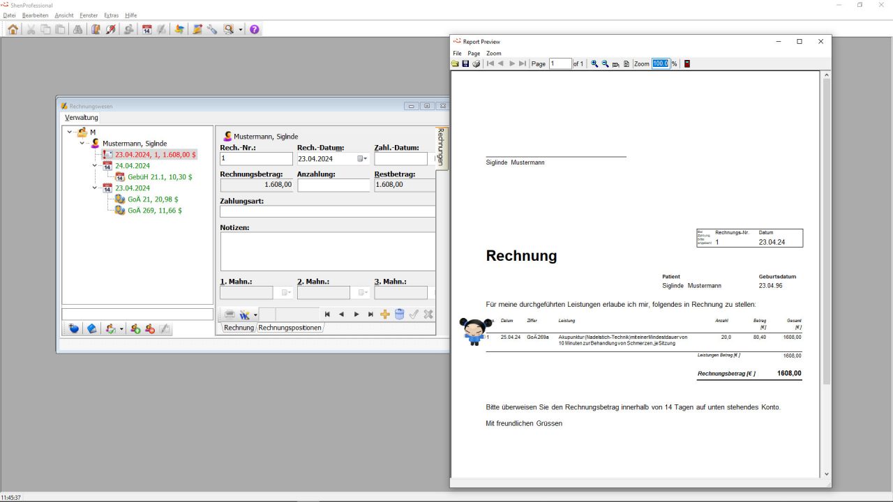 Features | ShenProfessional